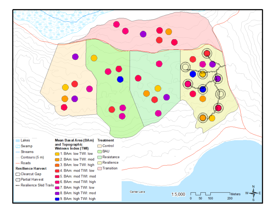 Petawawa Research Forest – Adaptive Silviculture for Climate Change